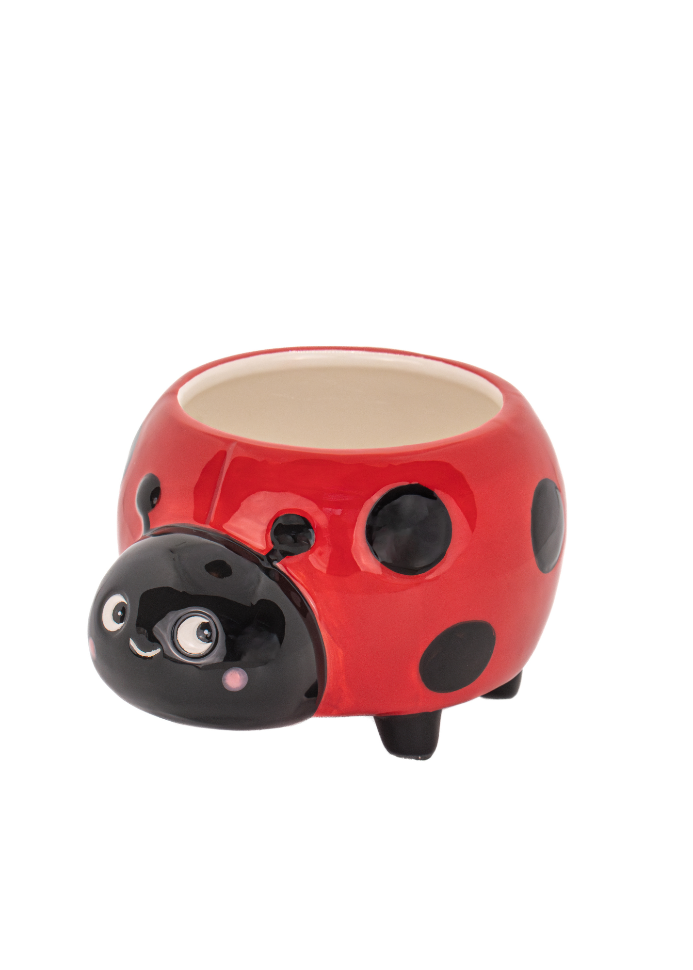 Sass & Belle - Ladybird Mini Planter – Thunder Egg
